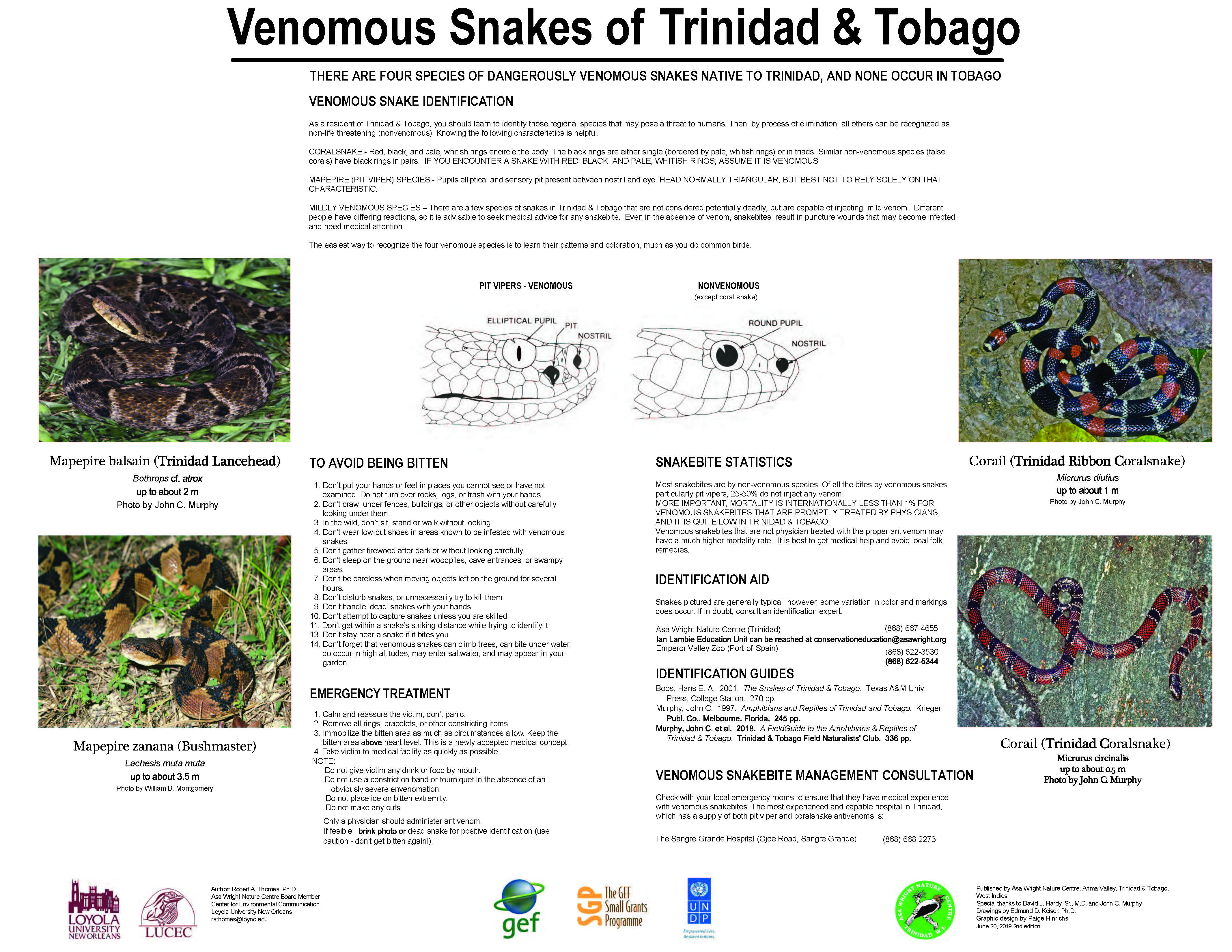 Venomous Snakes of Trinidad & Tobago | Tropical Natural History